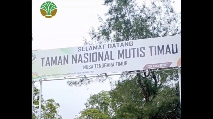 Taman Nasional Mutis Timau Ditutup Sementara hingga Februari, Ini ...