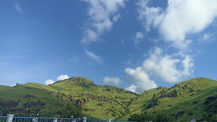 Indahnya Sabana Bukit Kajuwulu di Flores NTT, Hijaunya Segarkan Mata ...
