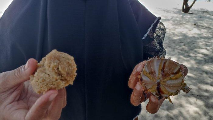 Menyantap Kasuami dan Bulu Babi, Kuliner Khas Pulau Pemana Sikka ...