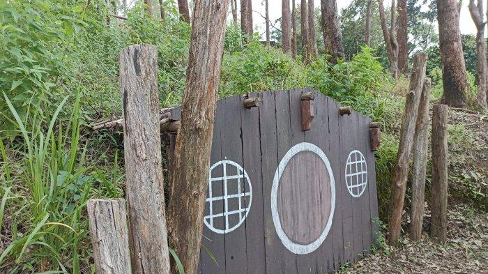 Wisata ke Hutan Ampupu Kebesani Ende, Ada Banyak Spot Foto ...