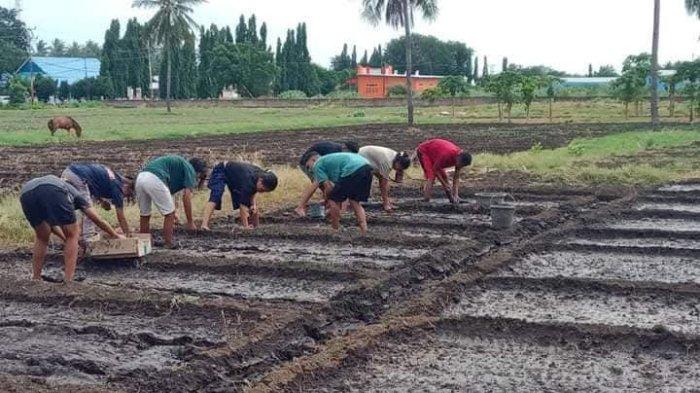 Prodi Agroteknologi FTP3 Unipa Maumere Raih Hibah Program Kompetisi ...