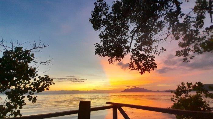 Menikmati Sensasi Beburu Sunset di Hutan Mangrove Watubaing Sikka ...