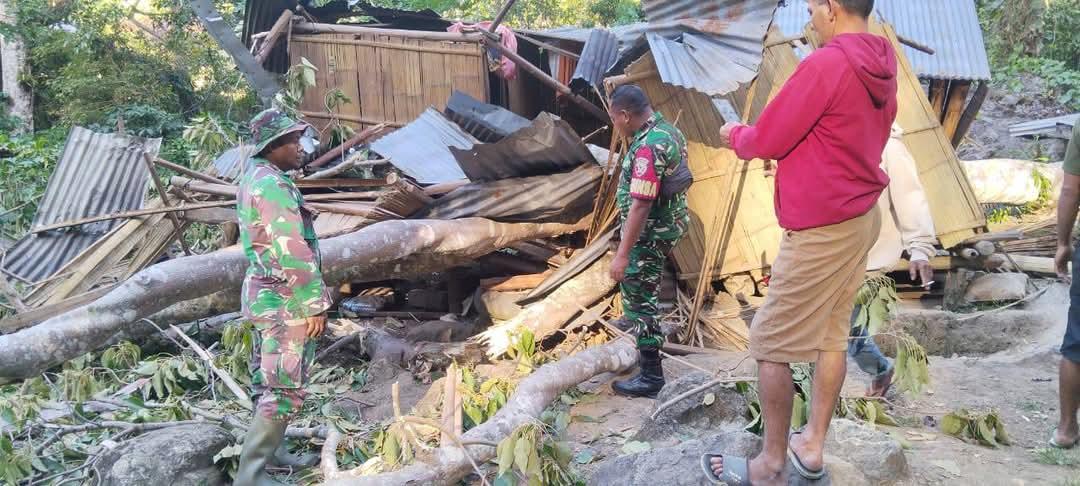 BREAKING NEWS: Warga Wologai 2 Ende NTT Tewas Tertimpa Pohon Tumbang Akibat Angin Kencang ...