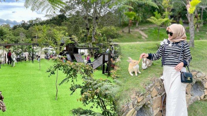 5 Tempat Wisata Hits di Takengon Aceh Tengah Buat Libur Sekolah: Cocok Jadi Pilihan Keluarga ...