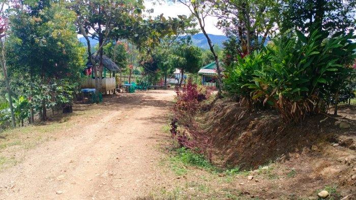 Wisata Gayo Lues, Rain Forest Lodges Kedah Ramai Dikunjungi Wisatawan ...