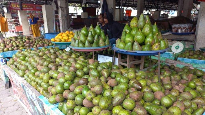 Alpukat Laris Manis Jadi Oleh-oleh Wisatawan yang Liburan Akhir Tahun ...