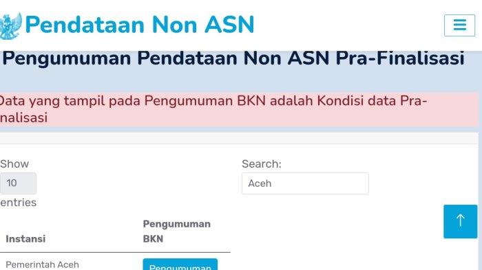 Yuk Lihat Ini Linknya, BKN Umumkan Hasil Prafinalisasi Pendataan Tenaga Non-ASN 2022, Termasuk ...