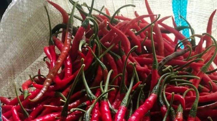 Harga Cabai Merah Anjlok di Gayo Lues, Cabai Rawit Masih Mahal - tribungayo.com
