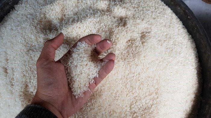 iPhone Basah Jangan Masukkan ke Dalam Beras, Apple: Harus Dilap hingga ...