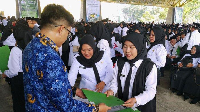 Kabar Baik! Kemenpan RB Pastikan Honorer Tak di PHK selama Transisi ...