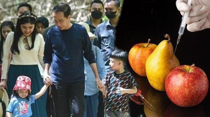 Kenali 4 Ciri-ciri Makanan Mengandung Formalin, Presiden Jokowi Hampir ...