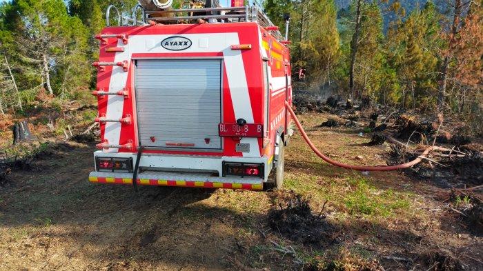 Kebakaran Kebun Serai Wangi dan Pohon Pinus Mulai Parah di Gayo Lues ...
