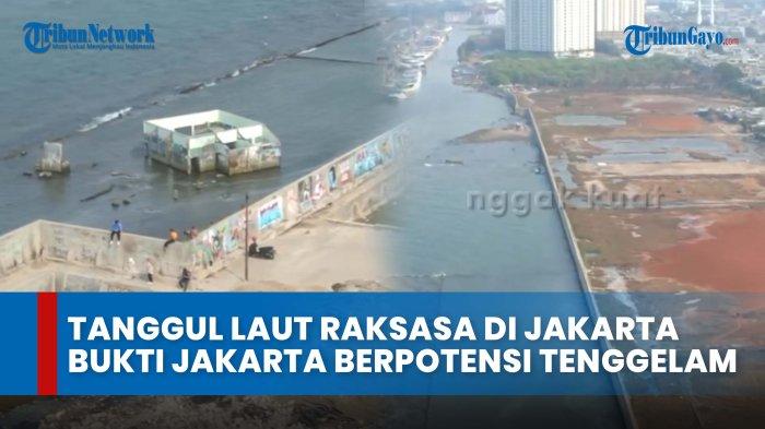Konten Kreator Perlihatkan Tanggul Laut Raksasa di Jakarta, Bukti ...