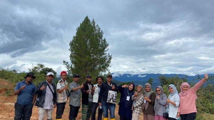 Mahasiswi PKL Unimal Tanam Pohon Pinus di Areal Konsesi THL ...