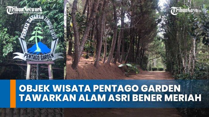 Objek Wisata Pentago Garden Tawarkan Suasana Alam Asri Bener Meriah ...