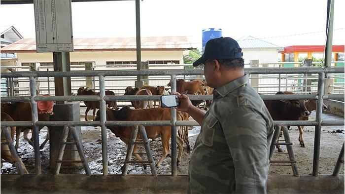 Pj Gubernur Aceh Tinjau Pusat Pembibitan Sapi Unggul di Indrapuri ... Pj Gubernur Aceh Tinjau Pusat Pembibitan Sapi Unggul di Indrapuri ...