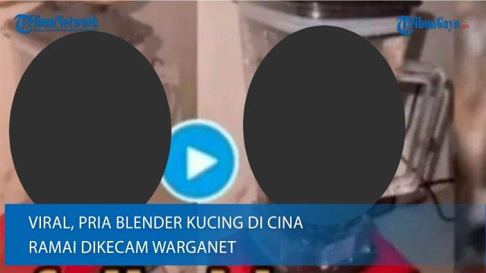 Viral, Pria Blender Kucing di Cina Ramai Dikecam Warganet - tribungayo.com