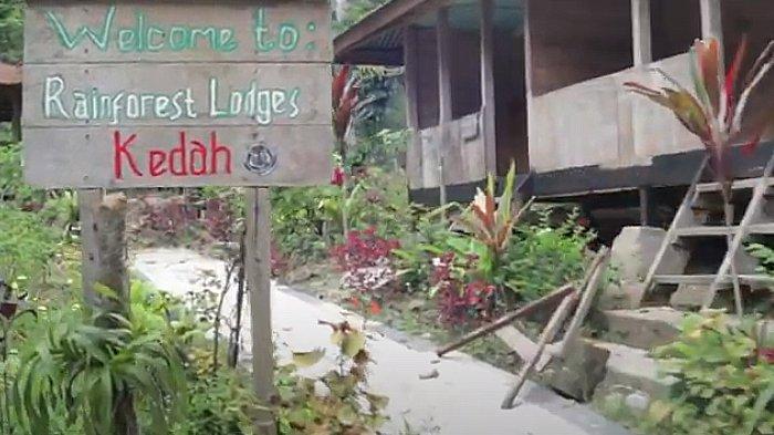 Wisata Gayo Lues, Rainforest Lodges Kedah, Penginapan Terakhir Menuju ...