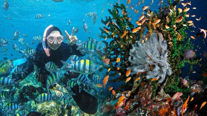 Wisata Populer di Aceh: Diving, Snorkeling, Arung Jeram, Bisa ...