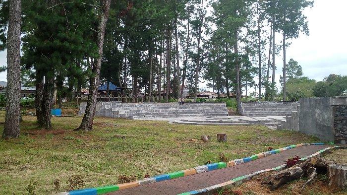 Wisata Bener Meriah, Pesona Taman Arboretum yang Berisi Tanaman Pinus ...