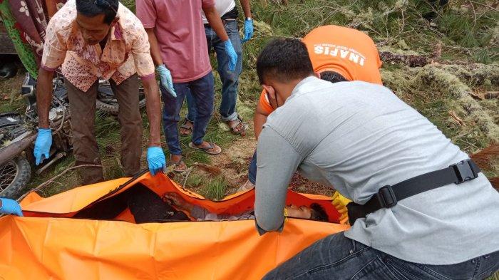 Tertimpa Pohon Pinus di Gayo Lues, Satu Warga Cilacap Meninggal Dunia ...