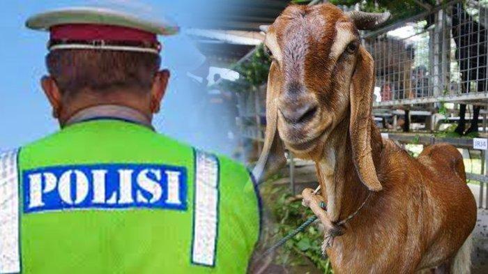 Tiga Polisi Berpangkat Tinggi Kepergok Curi Kambing Warga, Dimasukkan dalam Karung Lalu Dibawa ...