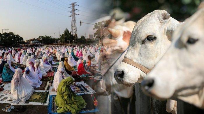 Mengapa Umat Muslim Berkurban? Ini Sejarah dan Latar Belakang Ibadah ...