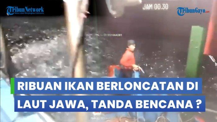 Video Ribuan Ikan Berloncatan di Laut Jawa, Pertanda Bencana ...