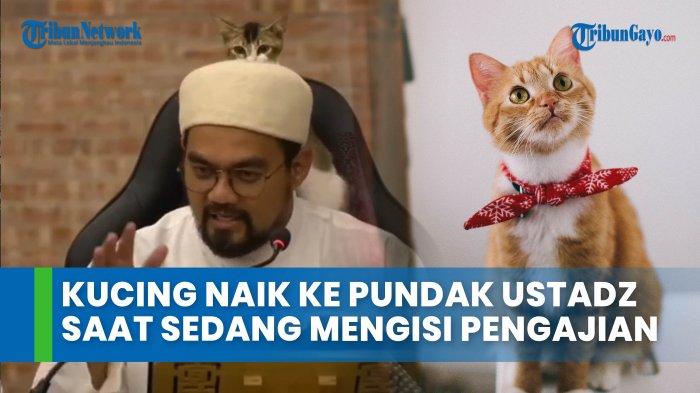 Video Tingkah Lucu Kucing Kembali Viral, Naik ke Pundak Ustadz saat ...