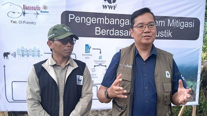 WWF Pastikan Pakan Gajah Tercukupi di Lahan 20 Ribu Hektare Hibah ...