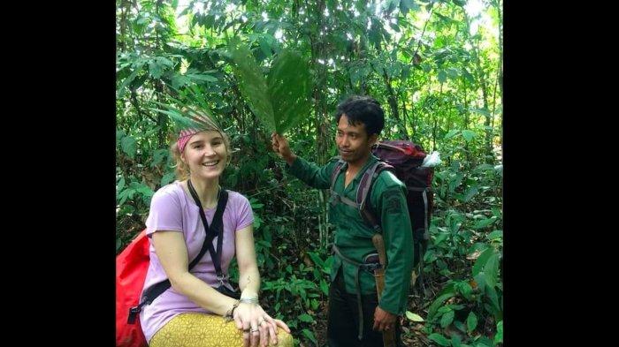 Wisata Kabupaten Aceh Tenggara, Treking Gunung TNGL Penuh Tantangan dan ...