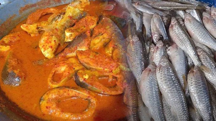 Produk Wisata Kuliner Khas Gayo di Aceh Tengah: Selain Kopi, Pengat ...