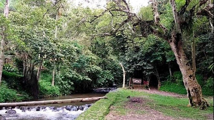 Wisata Bener Meriah, Lembah Pentagon Tawarkan Panorama Alam yang Asri ...