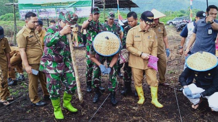 Komandan Kodim 0119 Bener Meriah Tanam Jagung Hybrida, Ajak Masyarakat ...