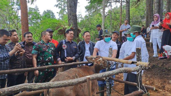 Ada Launching Pelayanan Kesehatan Hewan Ternak di Acara Desember Kopi ...