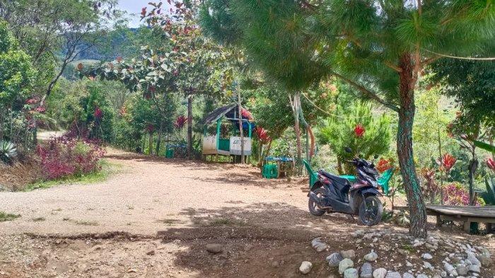 Wisata Gayo Lues, Ayu Lestari Kedah di Tengah Kebun Kopi, Dekat dengan ...