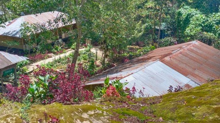 Wisata Gayo Lues, Rain Forest Lodges Kedah Bunglow Pintu Masuk ke Taman ...