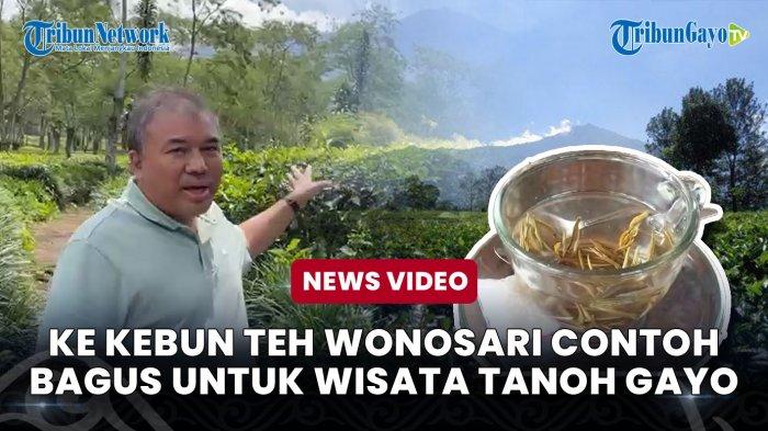 VIDEO Berkunjung ke Kebun Teh Wonosari, Contoh Bagus untuk Wisata Tanoh ...
