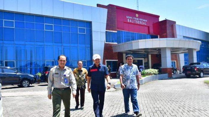 Pemkab Pohuwato Kunjungi Balai Penelitian Pengembangan Jagung di Maros ... Pemkab Pohuwato Kunjungi Balai Penelitian Pengembangan Jagung di Maros ...