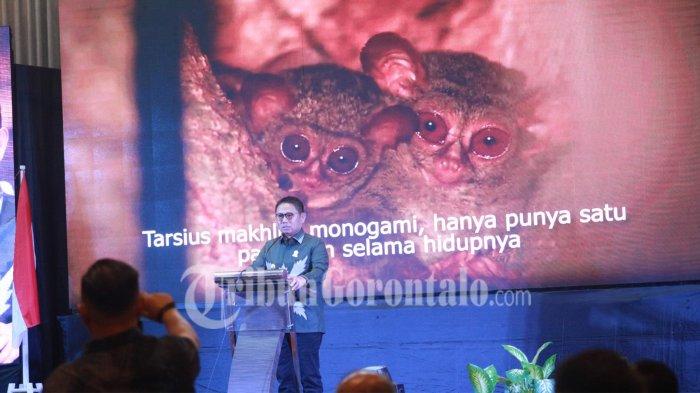 Fakta Soal Tarsius Supriatnai, Maskot AMF 2023 Gorontalo Bernama Lokal ...
