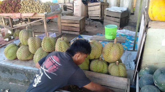 Durian Montong Taluditi Gorontalo Menggoda Selera, Pedagang di Pohuwato ...