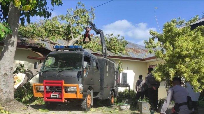 Kronologi Pohon Tumbang di Kantor Camat Tilango hingga Menghambat ...