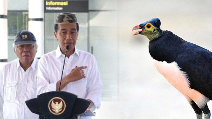 Jokowi Pakai Upiya Karanji Bermotif Burung Maleo saat Resmikan Bandara Panua Pohuwato Gorontalo ...
