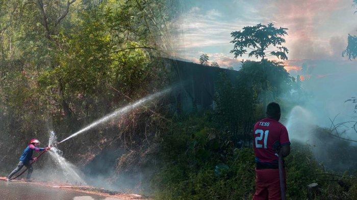 Total 7 Kebakaran Hutan dan Lahan 'Karhutla' terjadi di Gorontalo ...