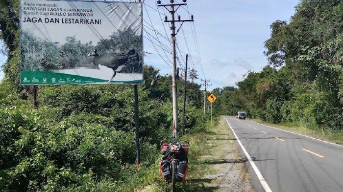Mengenal CA Panua, Cagar Alam Pohuwato Gorontalo yang Kini Ditinggali 5 Ribu Burung Maleo ...