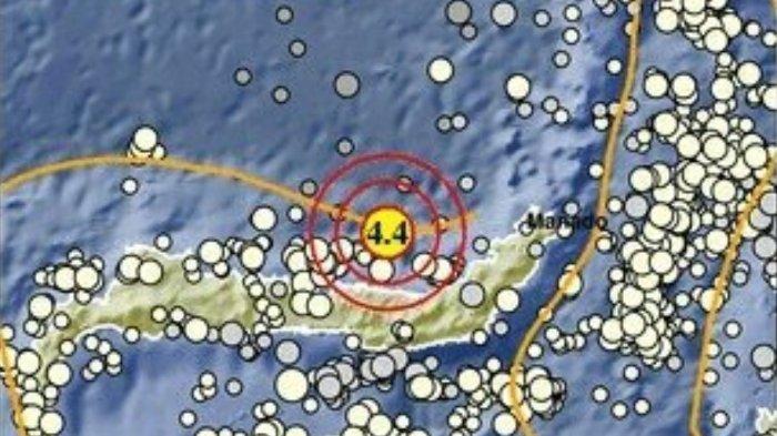Gempa Bumi Magnitudo 4.4 Kamis Pagi 3 Agustus 2023, Cek Lokasinya - Tribun Gorontalo