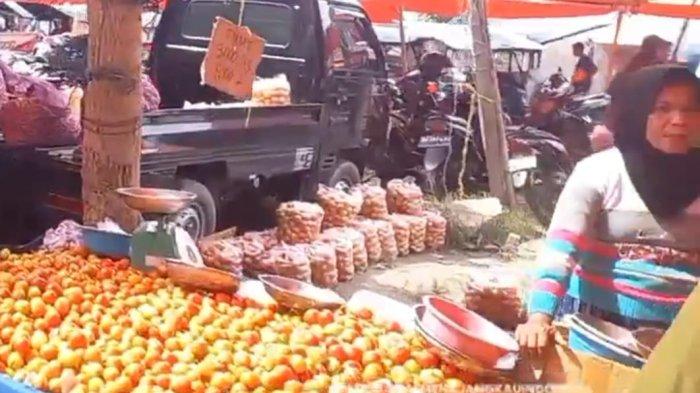 Harga Tomat Gorontalo Diobral Jadi Rp 2 Ribu per Kg di Pasar Rabu-Sabtu Andalas - Tribun Gorontalo