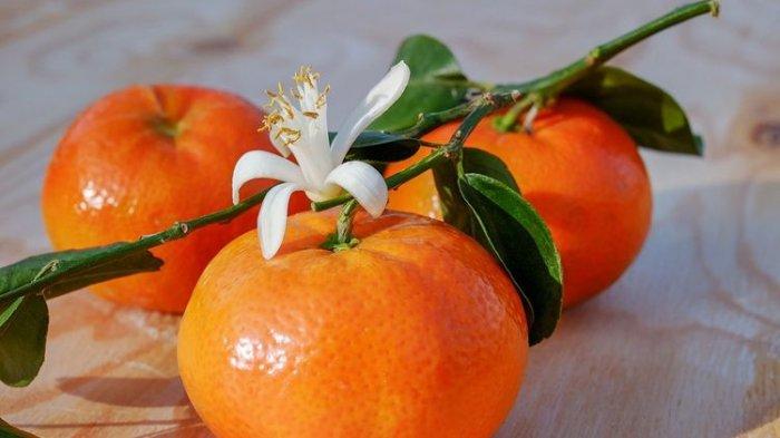 Jeruk Mandarin Ponkam jadi Buah Favorit saat Imlek, Segini Harganya di ...