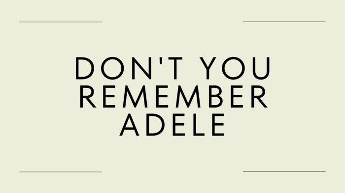 Lirik Lagu Don't You Remember - ADELE - Tribun Gorontalo