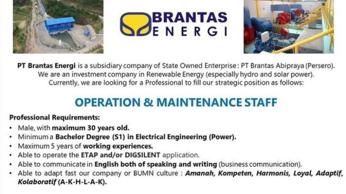 Lowongan Kerja, PT Brantas Energi Membuka 2 Posisi, Terbuka Bagi Lulusan S1 - Tribun Gorontalo